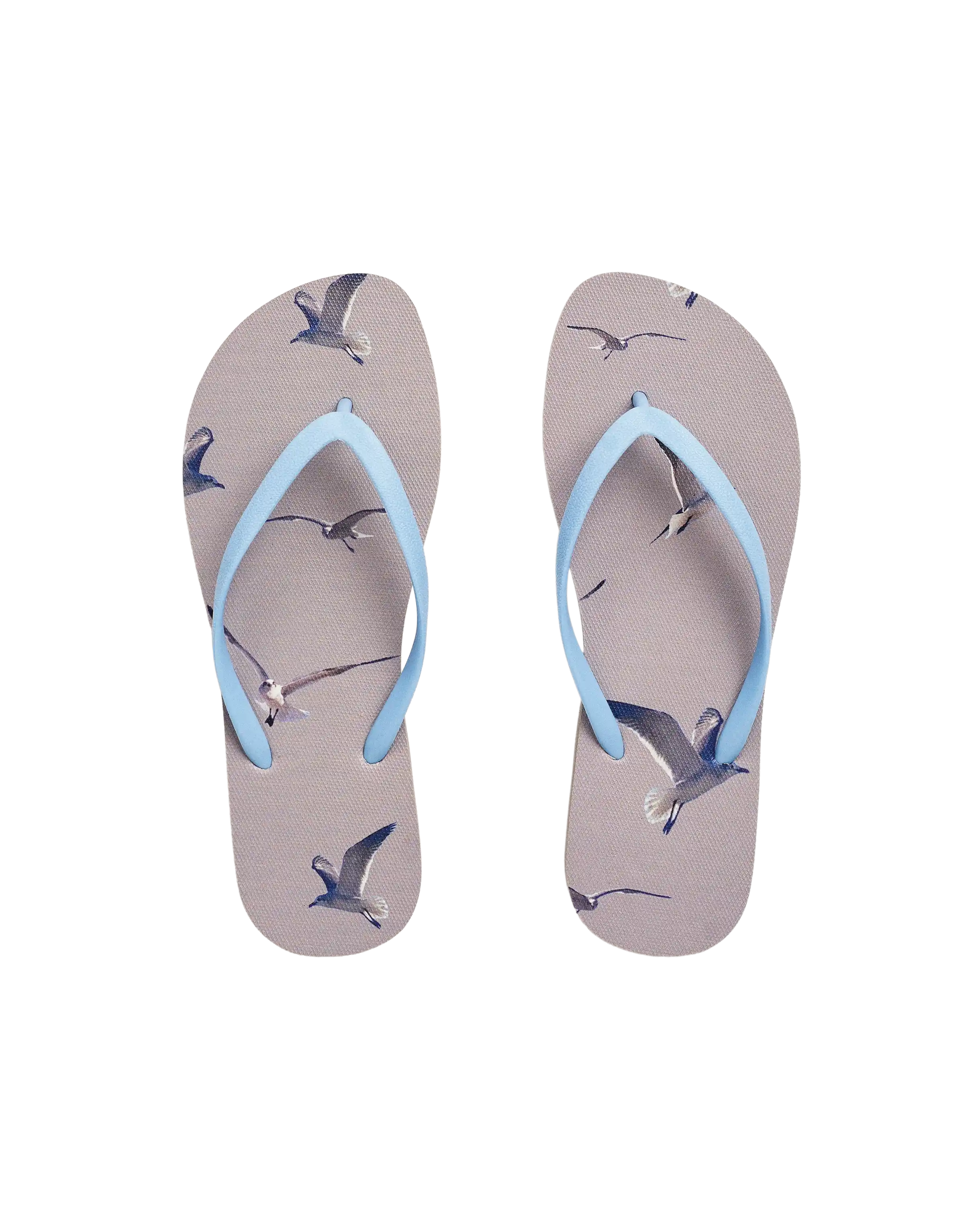 1989 Seagull Sandal – Taylor Swift Official Store