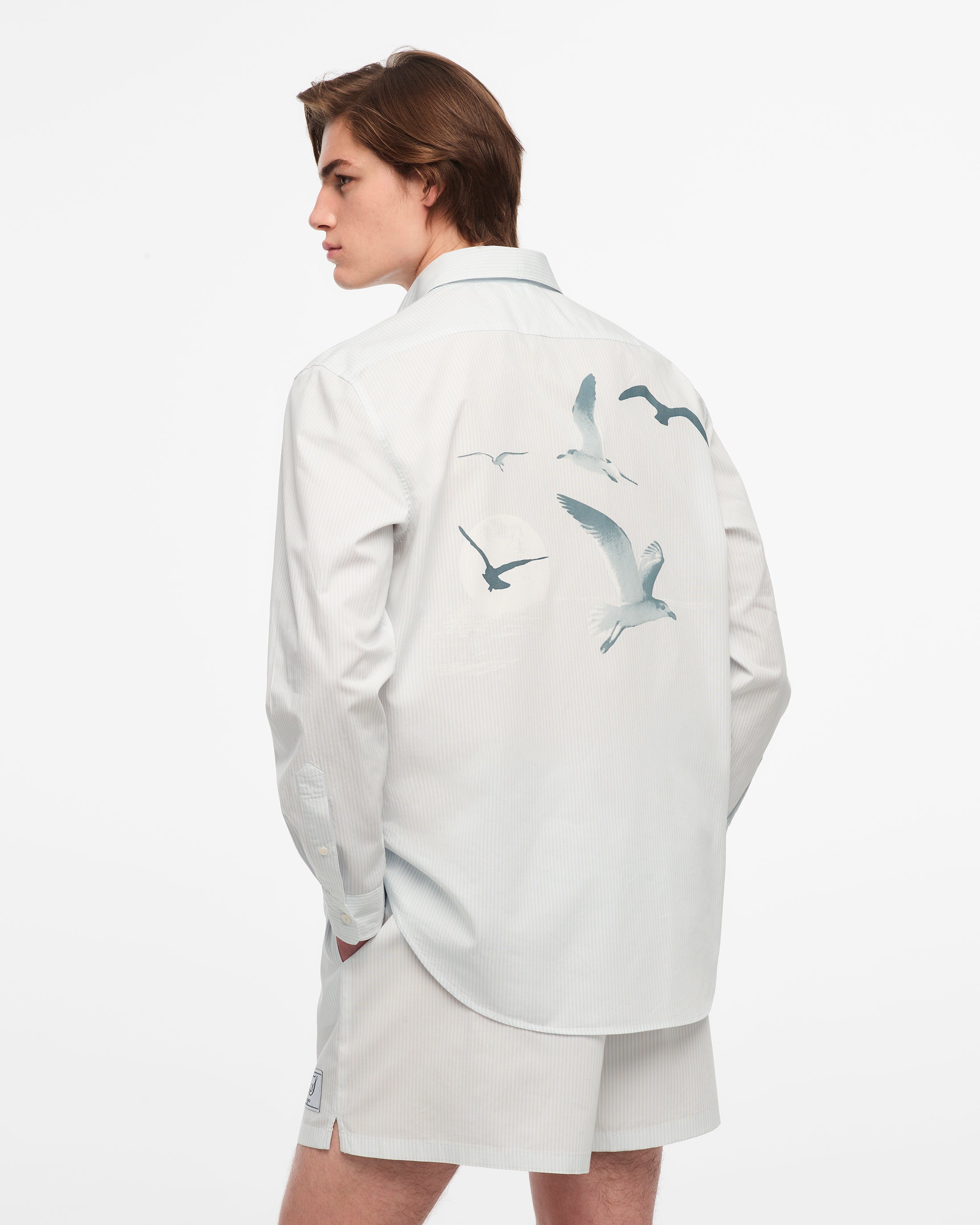 1989 (Taylor’s Version) Seagull Blue Stripe Poplin Shirt – Taylor Swift ...