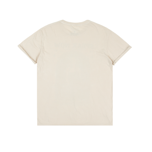 Speak Now (Taylor's Version) Tracklist Taupe T-Shirt - Taylor Swift ...