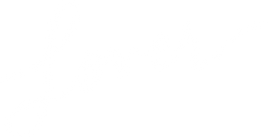 Lover Standard Edition Physical CD - Taylor Swift Official Store