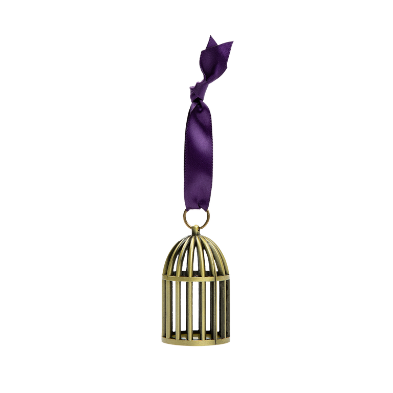 Speak Now (Taylor's Version) Shop – Taylor Swift Official Store
